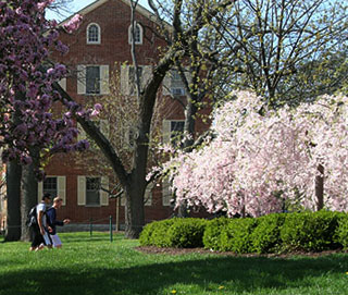 Passing Trees | miamitraditions